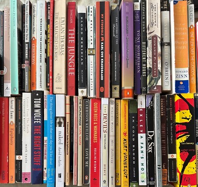 BUILD YOUR OWN LOT Subversive Books/Cult Novels/Classic Lit - Bundle ...