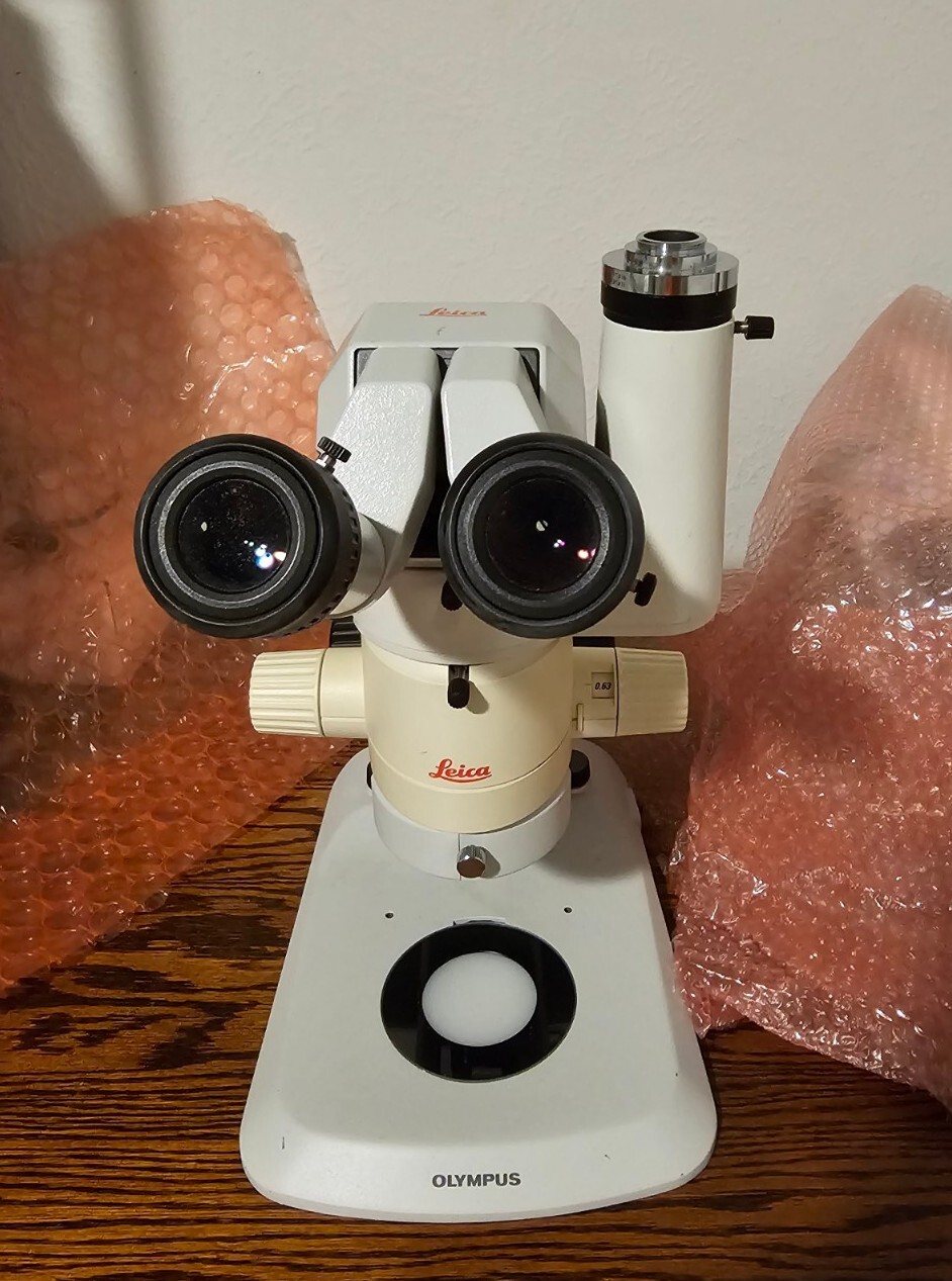 Leica Microscope MZ6, Ergo Head, Trinocular, Direct & Backlight, Focus ...