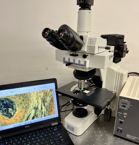 Nikon Eclipse E600 Fluorescence Microscope | eBay