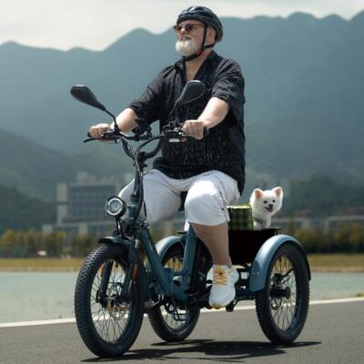 FAFREES F20 MATE 3Rad Elektrofahrrad 20 Zoll Elektro Dreirad eBike mit ...