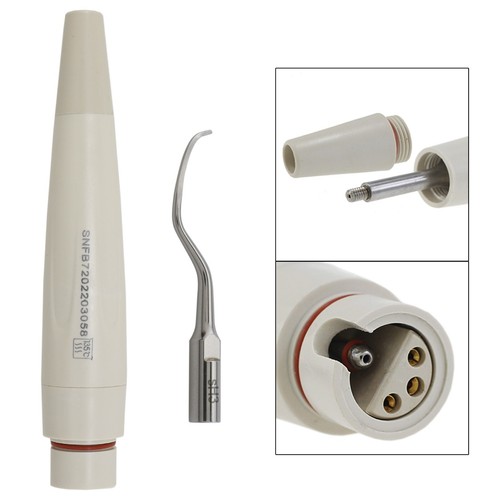 Satelec ACTEON Newtron P5 Scaler Handpiece Dental Ultrasonic Piezo ...