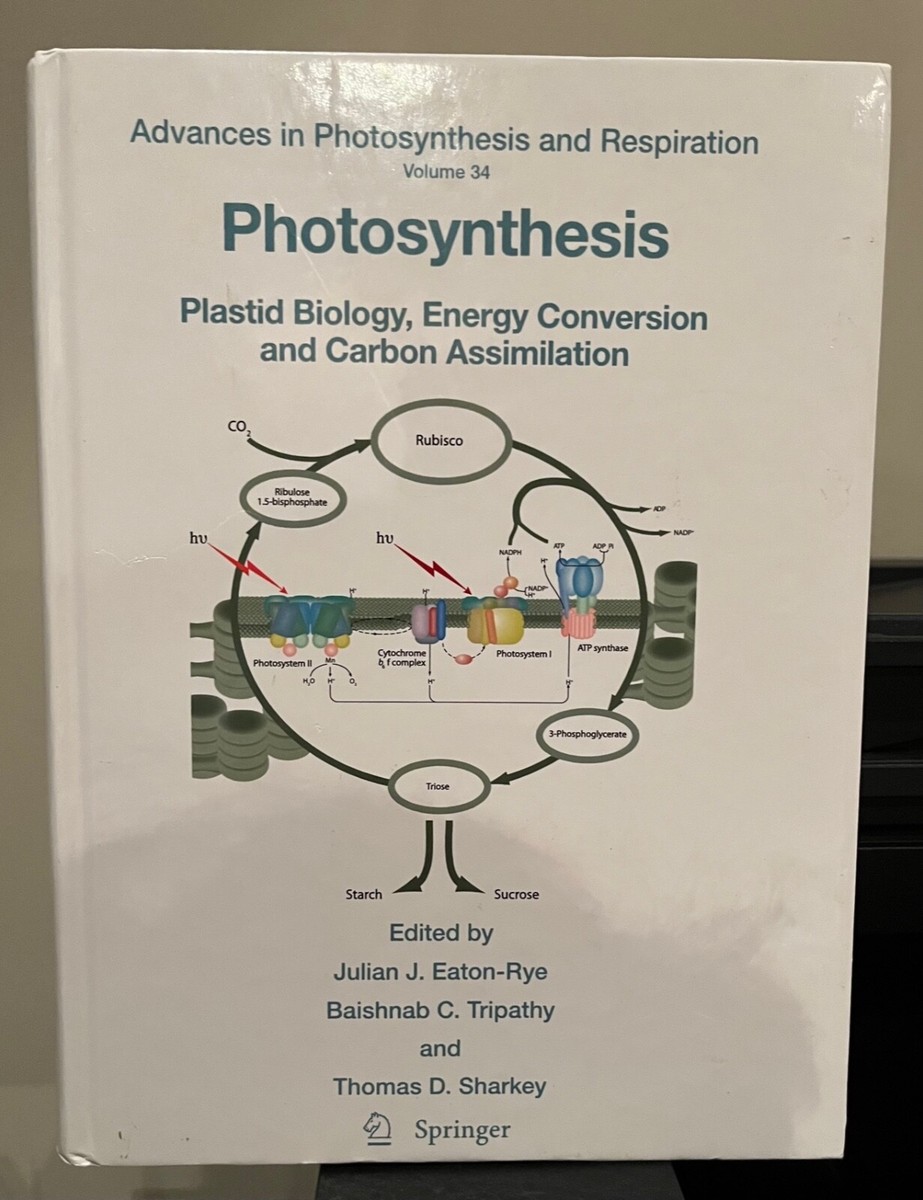 Assimilation Biology