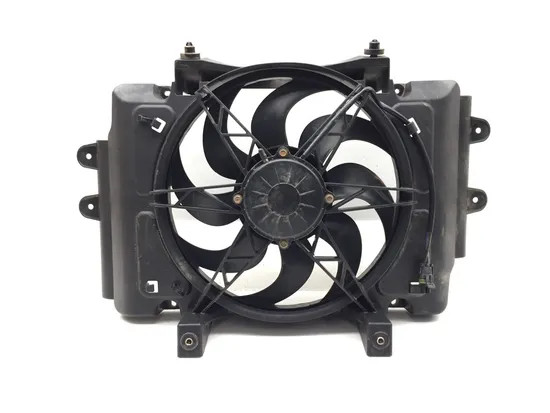 Engine Radiator Cooling Fan 2019 Can-Am Defender HD8 4x4 DPS 3231 | eBay