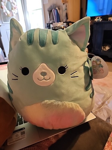 Squishmallow 14" Corinna Cat green white Rainbow Tie Dye Belly ...