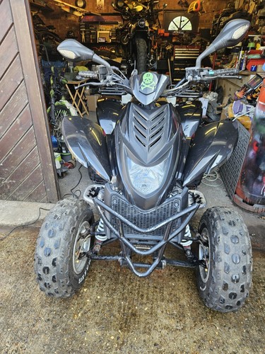 2008 Quadzilla/dinli Cvt320 Road Legal Quad Bike | eBay UK