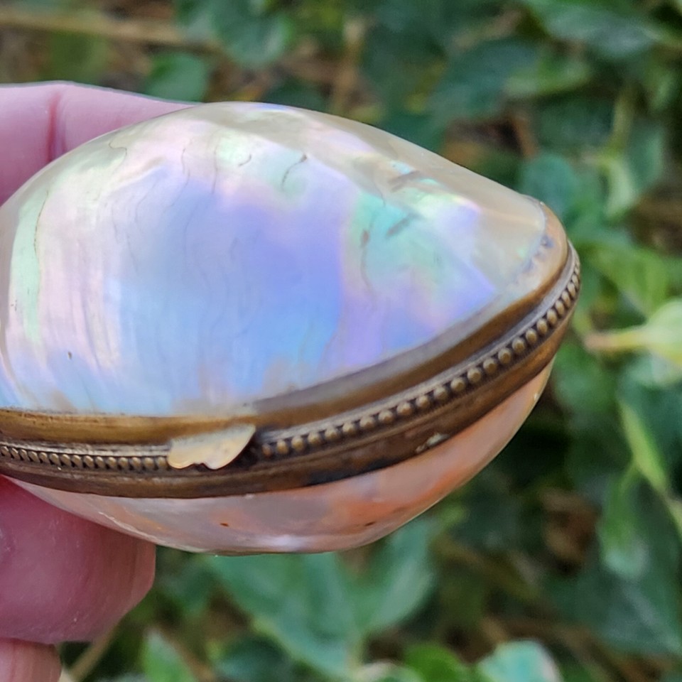Antique Hand Made Mother of Pearl Shell Hinged 3"L Trinket Sewing Box ...