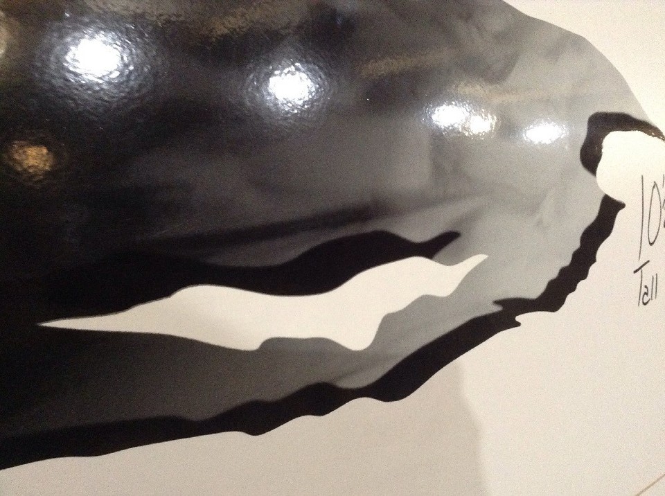 KEYSTONE RAPTOR VELOCITY 2011 RV LOWER FRONT NOSE DECALS 32.5"X10.5 ...