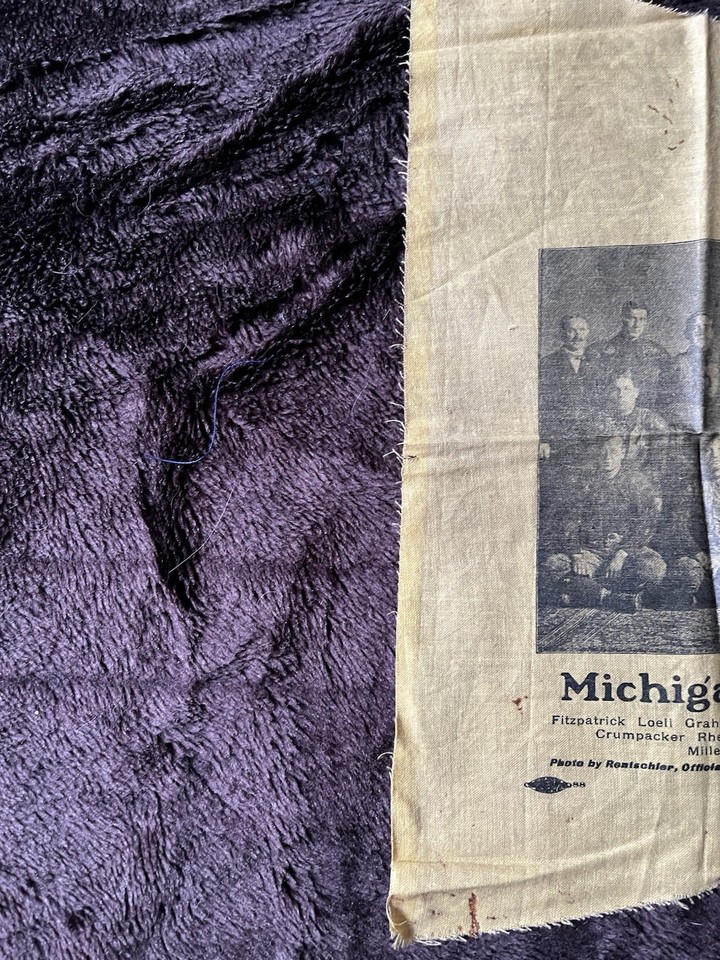 1907 Michigan Wolverines Football Team by Agnes F. Vandome Pennant ...