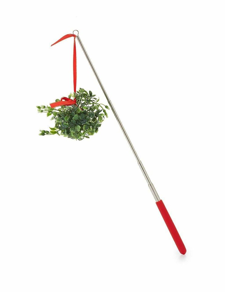 Portable Mistletoe Stick | eBay