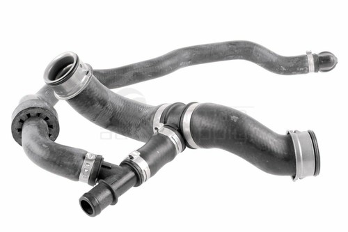 VAICO Radiator Coolant Hose Lower V302905 2045019682 for Mercedes MB | eBay
