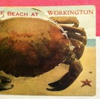 Rare Antique Postcard Foldout Crab On Beach Workington England Nice ...