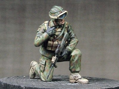 Djiti's 1/35 Australian ADF Soldier No.2 w/F88 Austeyr w/ACOG & AN/PEQ ...