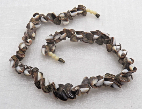 Brown & White Shell Necklace #jewelry #fashion #necklace #shells | eBay