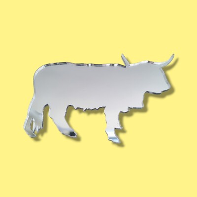 Highland Cow Shaped Acrylic Mirrors - Various Sizes | eBay