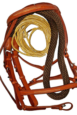 Bridle set Paso Fino | eBay