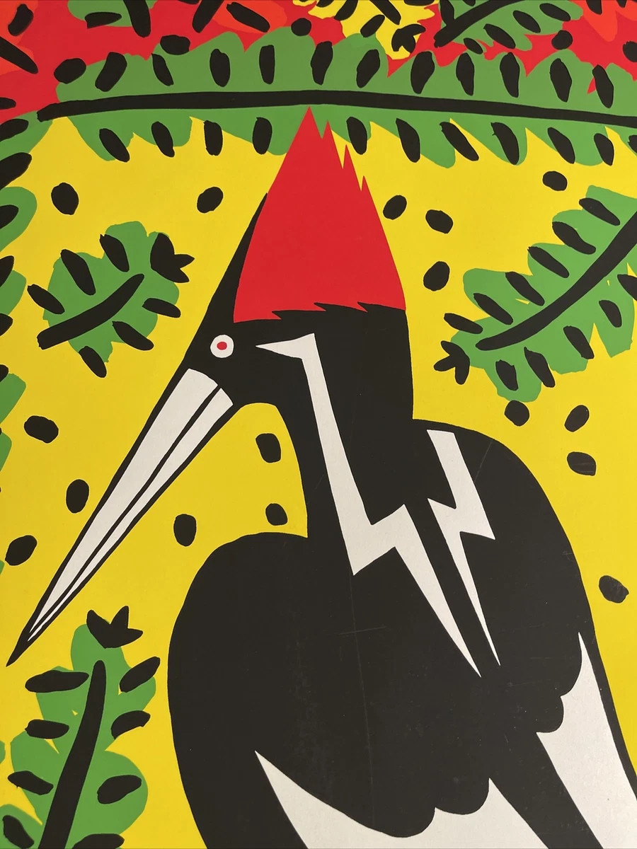 Ivory Billed Woodpecker Endangered Species