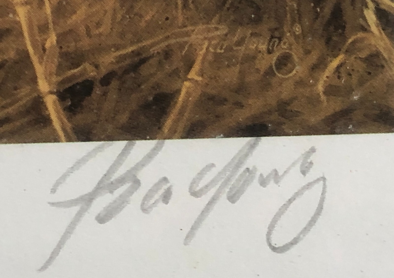 Vintage Take 'Em 1999 Paco Young Framed Print Stamp Friends NRA SIGNED ...