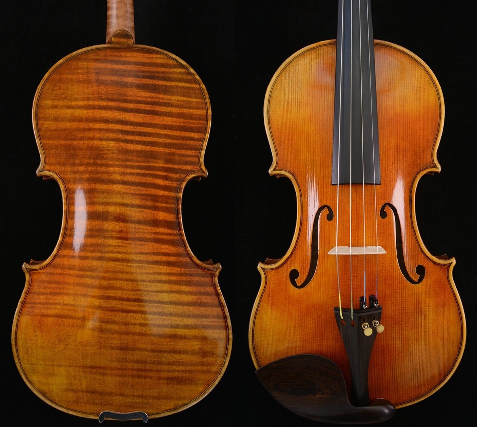 Rare Violin Master Violin Guarneri Violin 1-PC Back No. W-098 | eBay