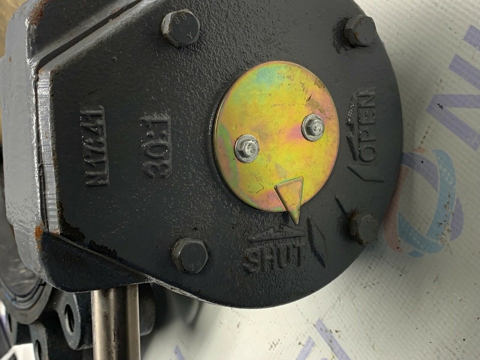 NIBCO LD2000 10 Body D1 Stem SS Disc AB Seat EPDM BUTTERFLY VALVE | eBay