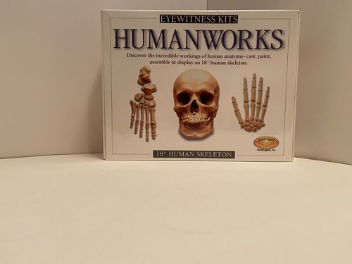 Eyewitness Kits Humanworks 18" Human Skeleton NIB 605444005309| eBay