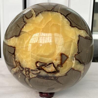 7820G Natural Turtle Back stone dragon crystal ball quartz mineral ...