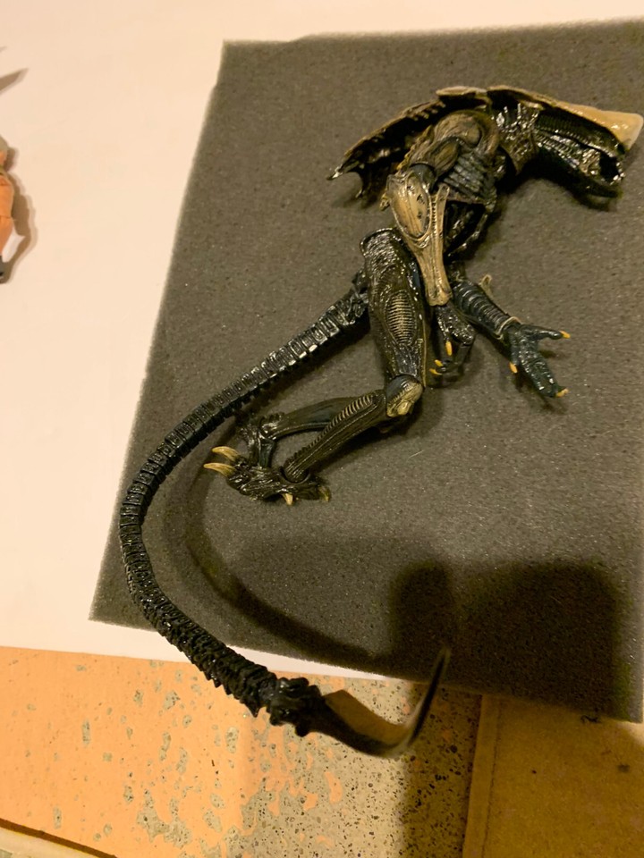 NECA Alien Vs Predator - Ultimate Chrysalis - Action Figure (Loose) | eBay