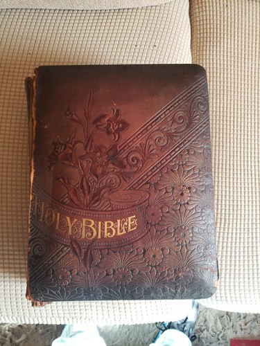 1892 Holy Bible the Pronouncing Edition Antique, Illustrated | eBay