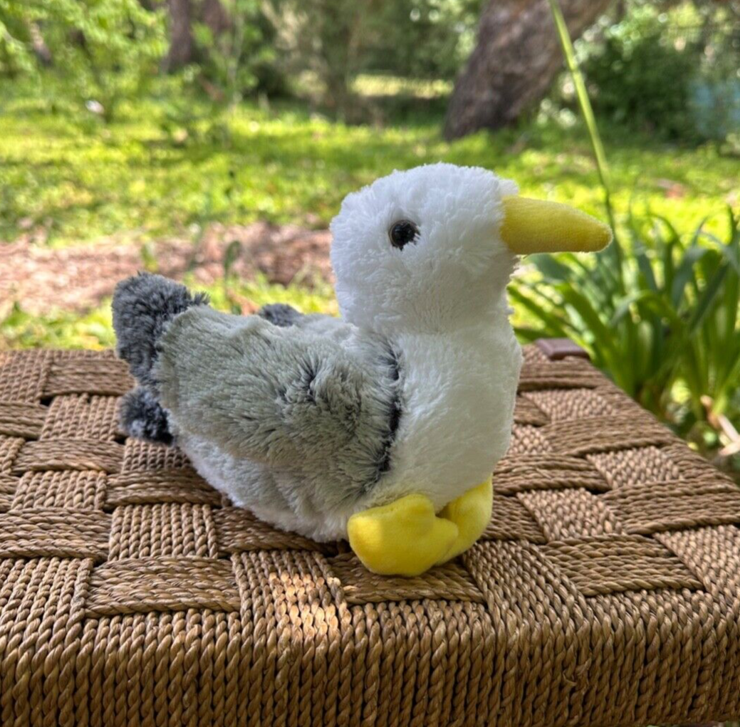 Nelson Seagull Plush Soft Toy 20cm Bird Stuffed Animal by Huggable Toys ...