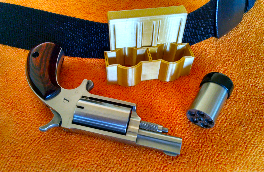 North American Arms NAA Magnum frame revolver Gold color dual holster ...