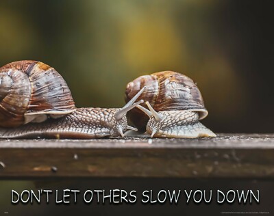 Snail Quote Motivational Poster Art Print Kids School Classroom Wall ...