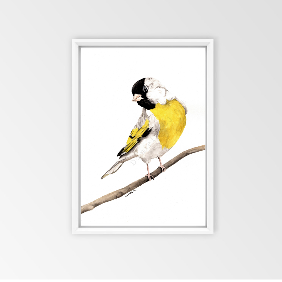 Watercolour American Goldfinch Print - watercolor bird prints, yellow ...