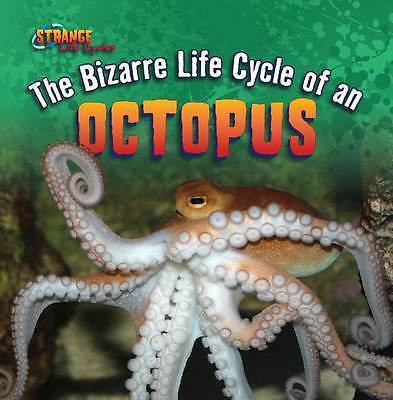 The Bizarre Life Cycle of an Octopus by Therese M Shea (Hardback, 2012 ...