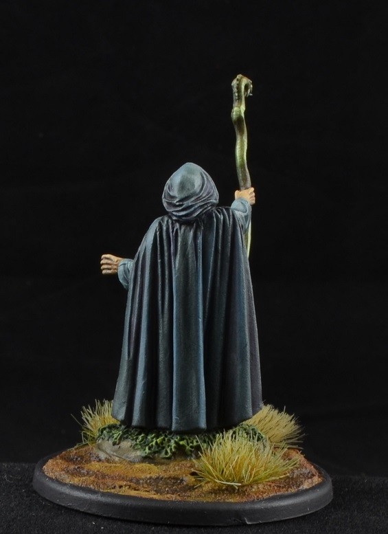Painted Castle of Deception, Male Wizard from Dark Sword Miniatures ...