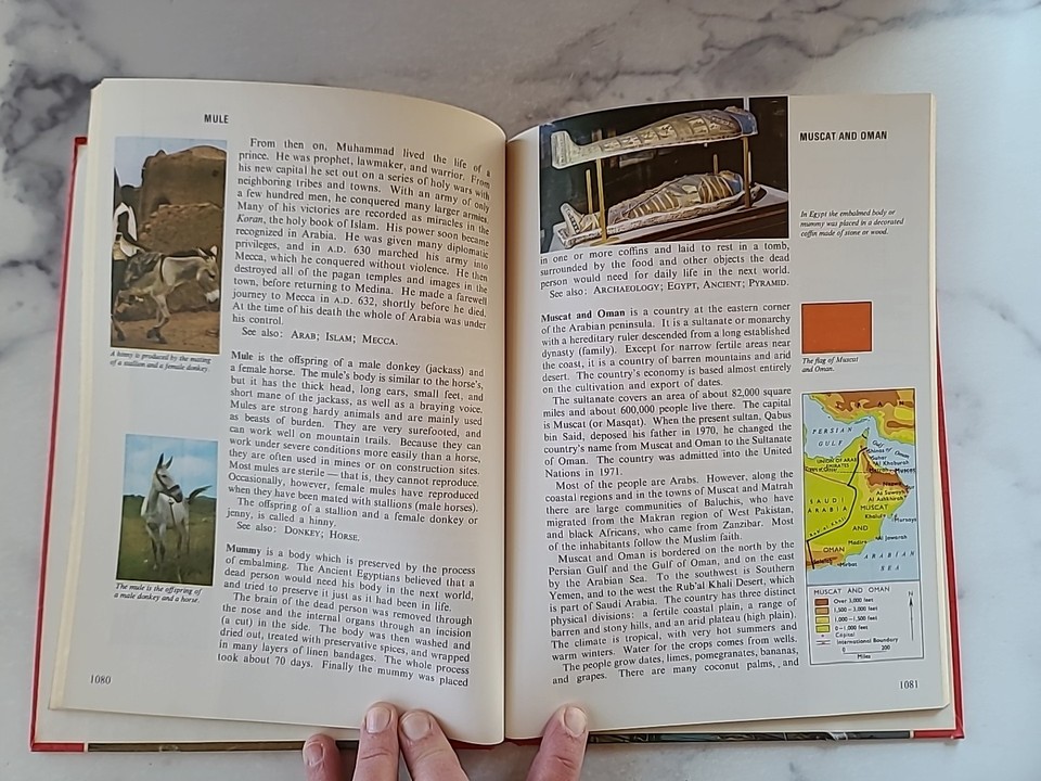 Young People's Illustrated Encyclopedia Volume 12 Mollusk To New York ...