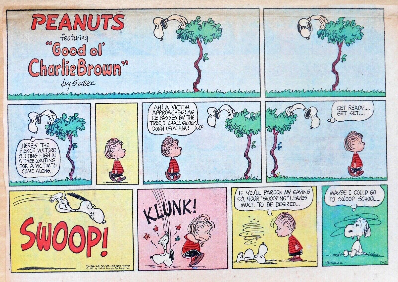 Charlie Brown Comics In Color