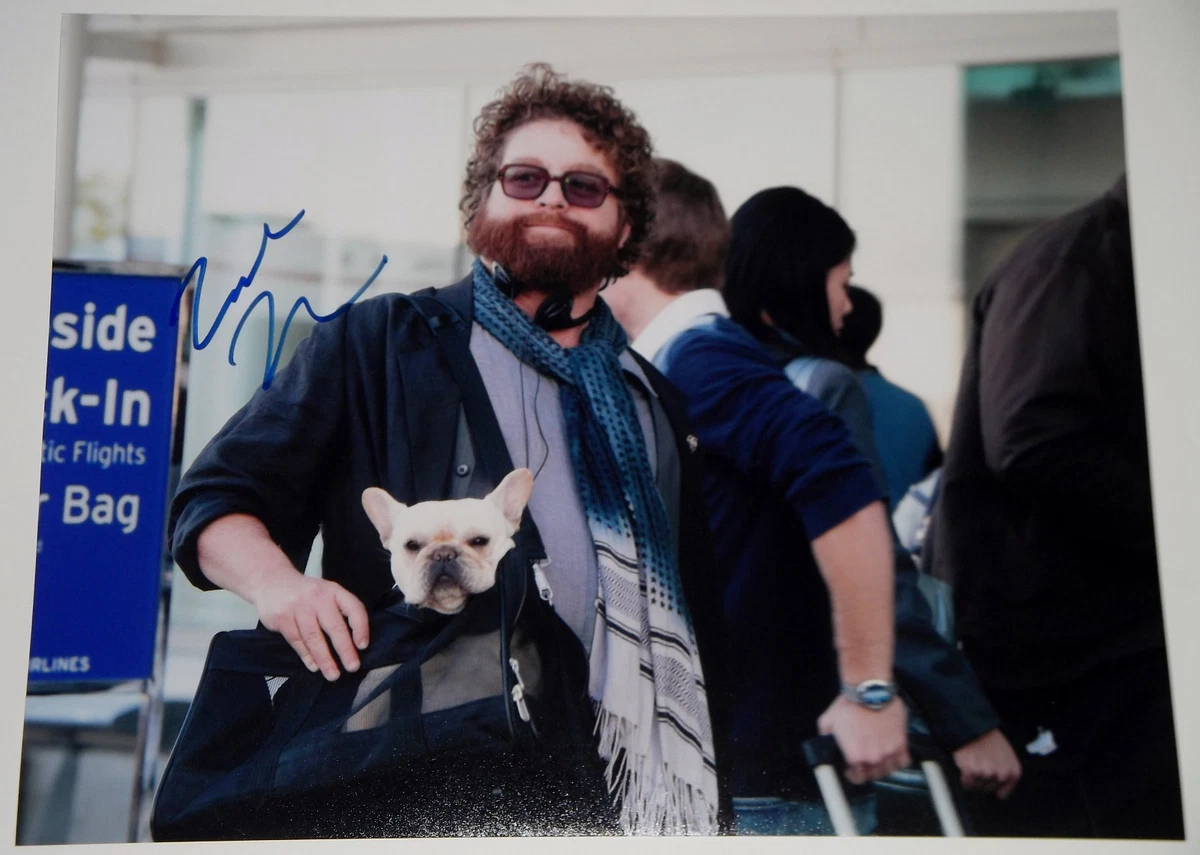 Due Date Movie Ethan Tremblay