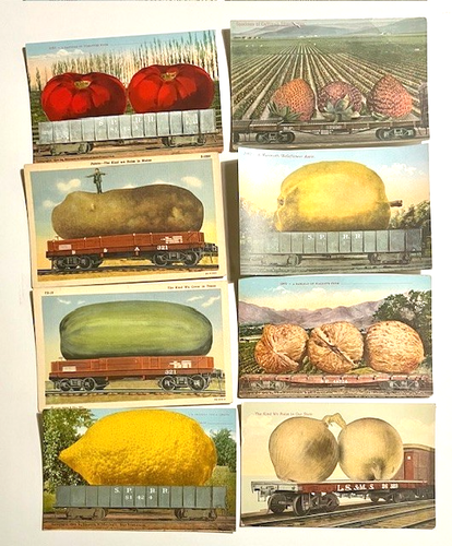 Exaggeration Postcards (8) with Giant Fruits & Vegetables circa 1910 | eBay