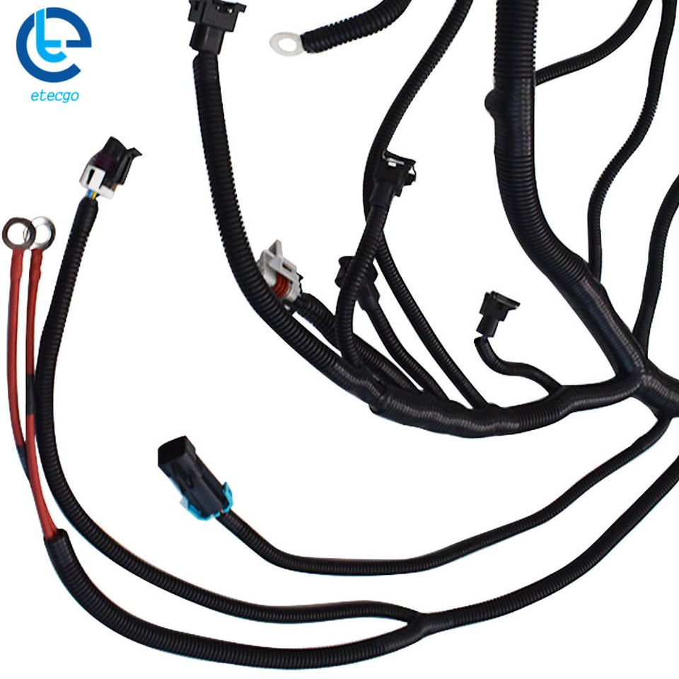Standalone Wiring Harness For DBC LS Swap T56 Manual LS1 1997-2006 4.8 ...