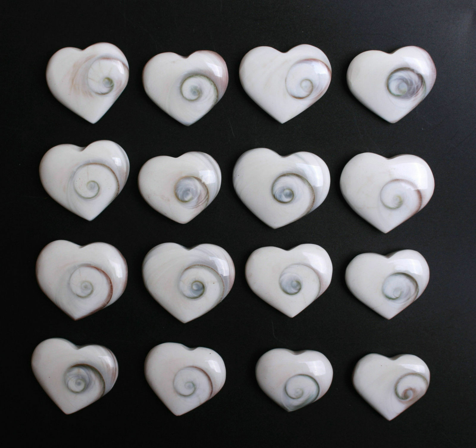 Wholesale Pendant Conch Shell Fossil love Heart Shape5Pcs sx -29 | eBay