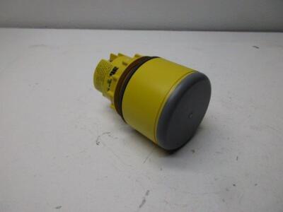 Pneumatic Valves - Palm Button