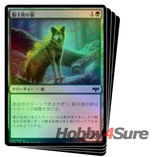 Foil Japanese Sporeback Wolf X4 M/NM Magic MTG Innistrad: Crimson Vow ...
