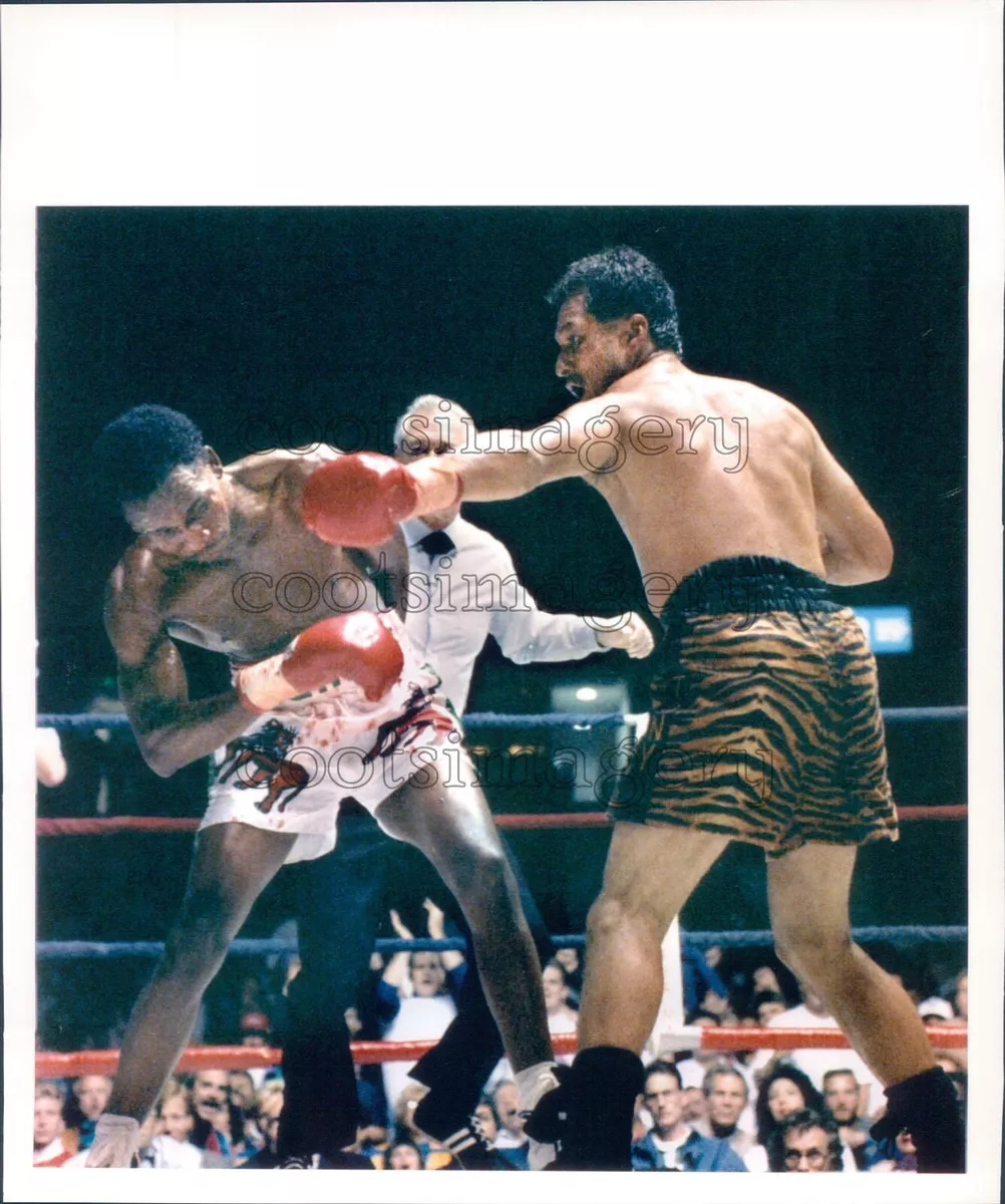 Tony The Tiger Lopez