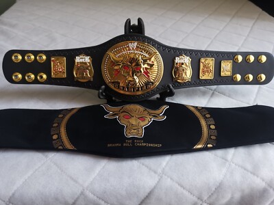 🕶️🤼 NEW WWE The Rock Final Boss Dwayne Johnson Mini Belt/Title | eBay