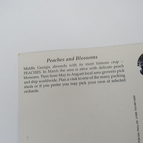 POSTCARD Peaches and Blossoms Perry Middle Georgia Vintage Mailer | eBay