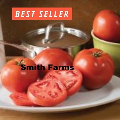 50+ Seeds Big Beef Plus Tomato Juicy Easy to Grow Vegetable Garden ...