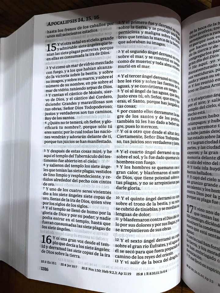 Spanish Bible/ La Santa Biblia - RV-SBT 1602 /Reina -Valera Revised ...