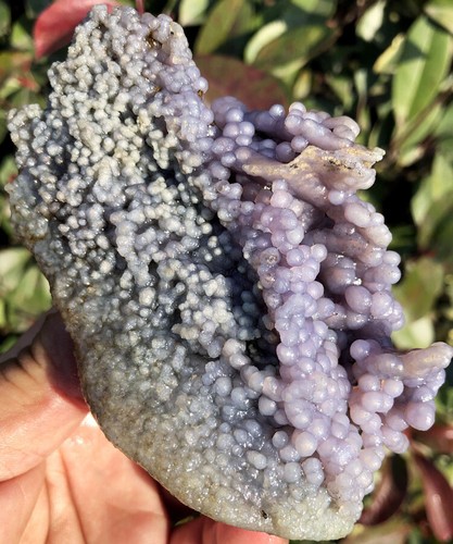 250g Natural Botryoidal Chalcedony Starlight Purple Grape Agate ...