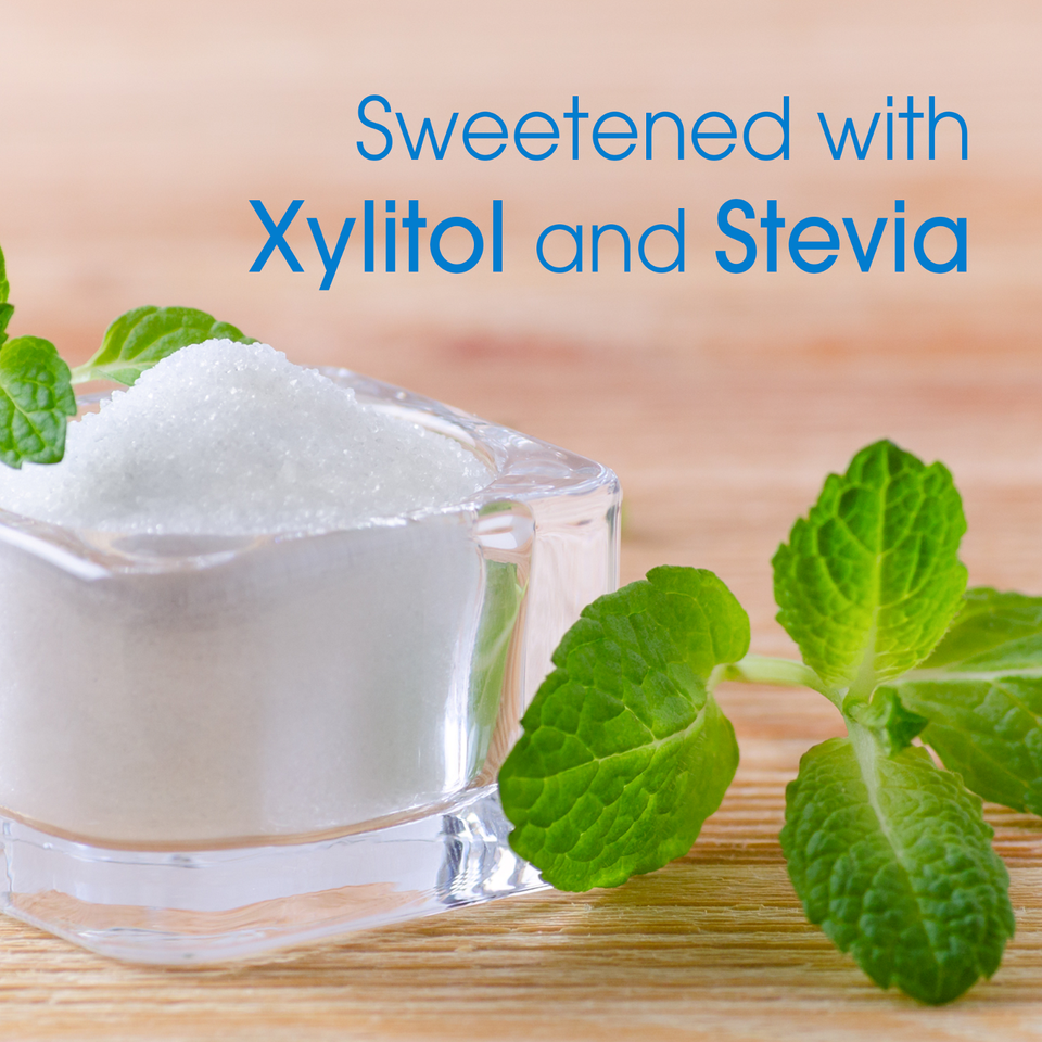 Evergreen Sweets Peppermint Gum Made with Xylitol and Stevia- 100 ...