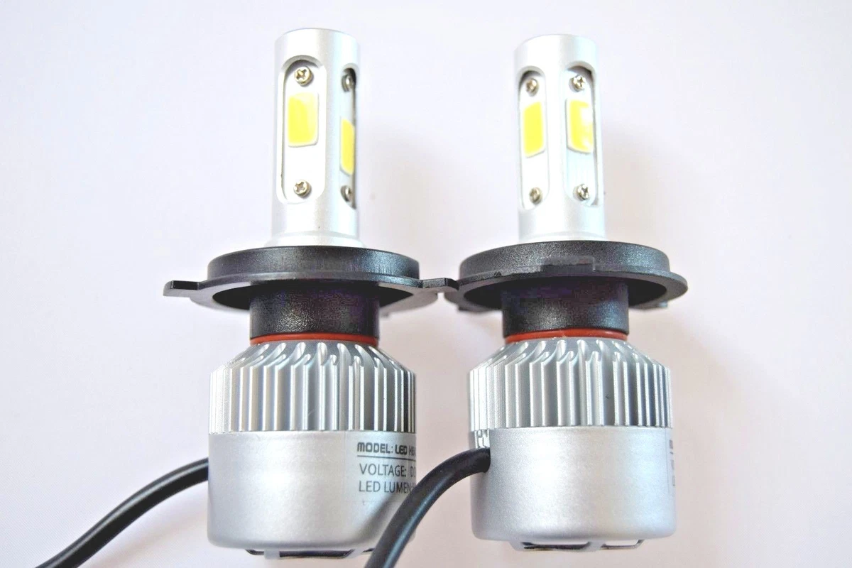 Viva Light Bulbs | Shelly Lighting