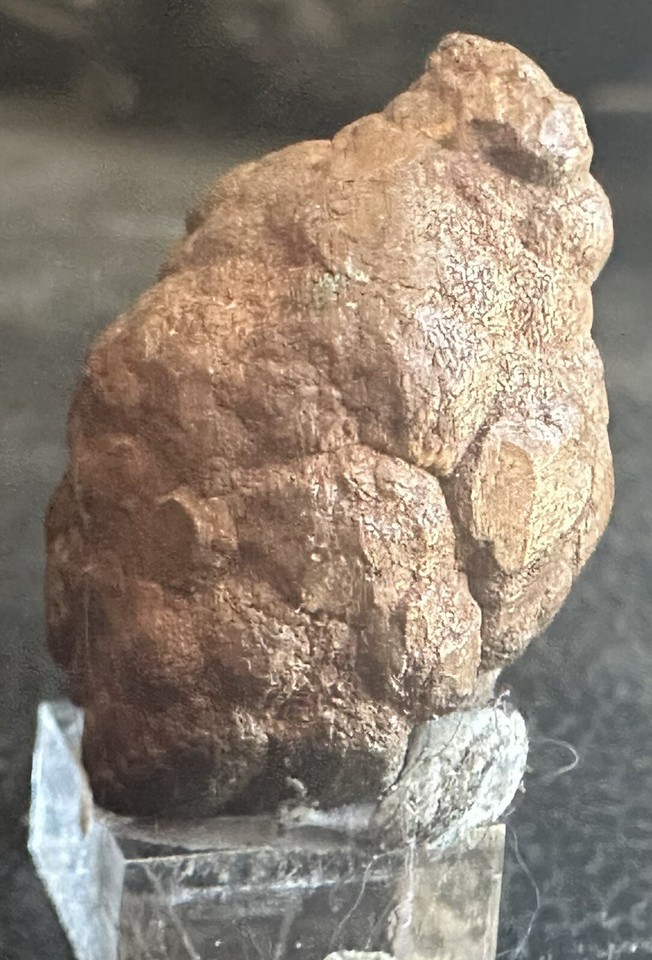 2.3cm Interesting Botryoidal Copper Crystal Group - Arcadian Mine ...